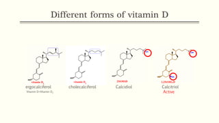 Synergistic actions of vitamin D3 and vitamin K2 | PDF