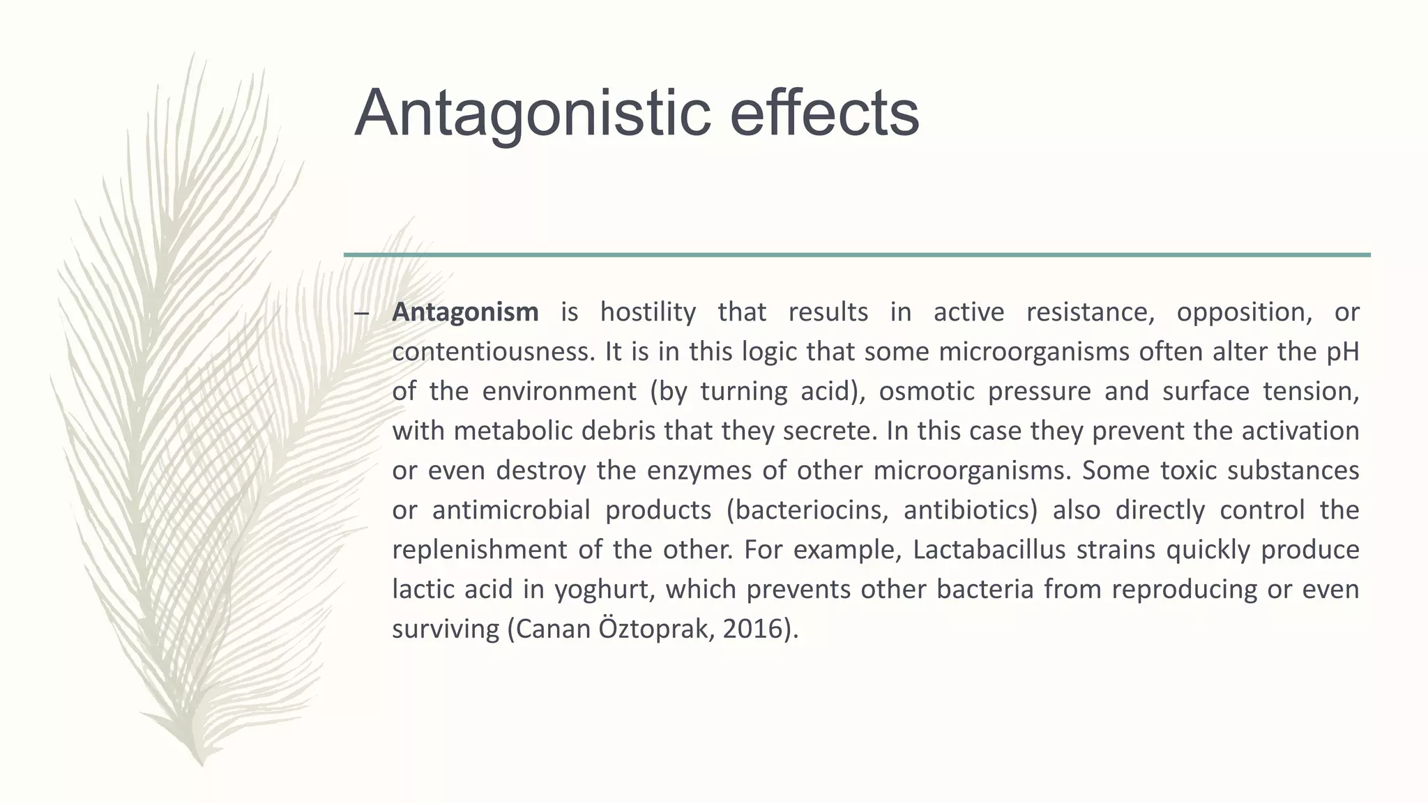 Synergistic and antagonistic effects of microorganisms | PPT Synergistic and antagonistic effects of microorganisms | PPT