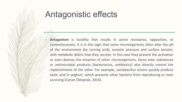 Synergistic and antagonistic effects of microorganisms | PPTX