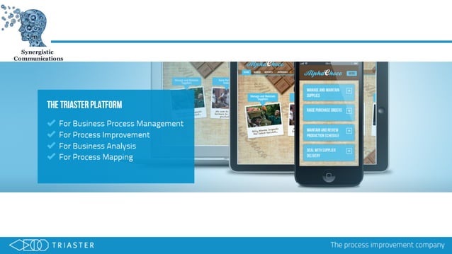 Triaster Platform - Business Process Mapping | PPT