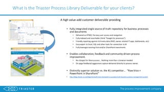 Triaster Platform - Business Process Mapping | PPT