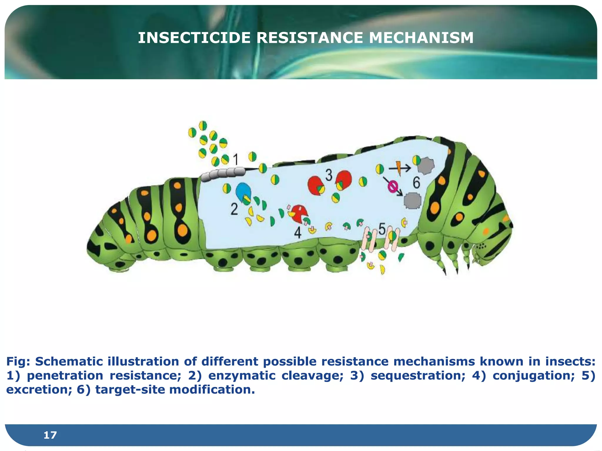 Role of Synergists in Resistance Management | PPTX