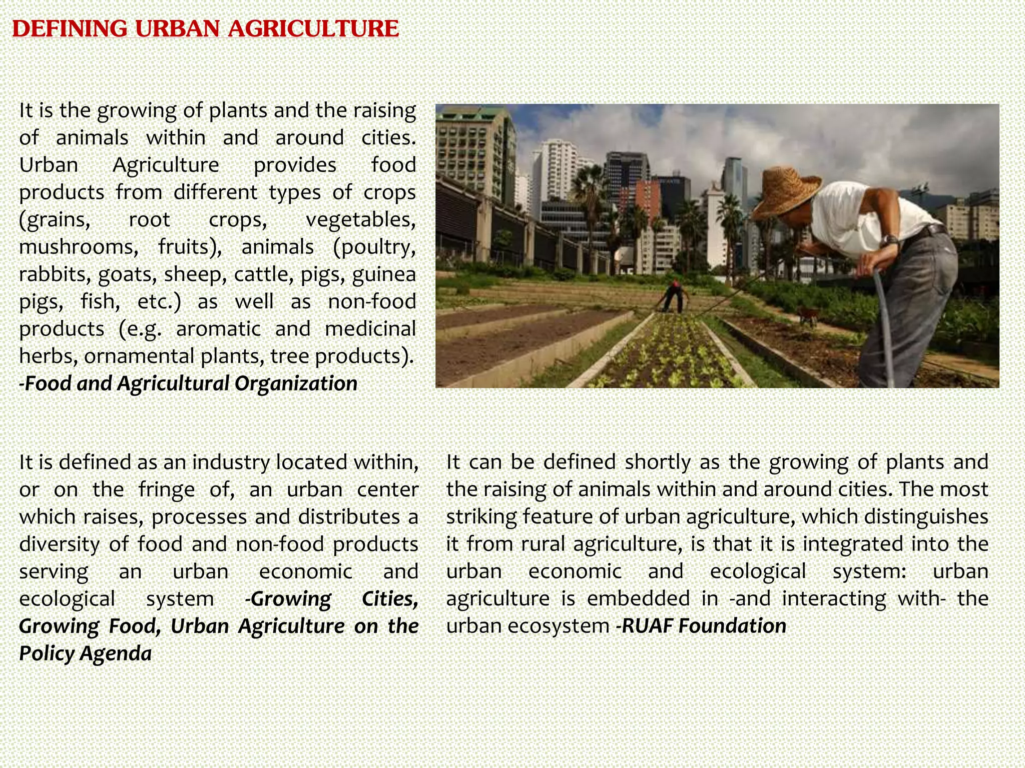 Synergizing urban agriculture with open space requirements for public ...