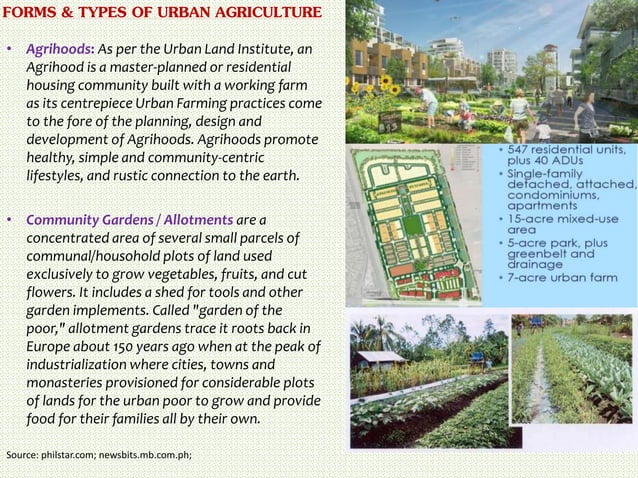 Synergizing urban agriculture with open space requirements for public ...
