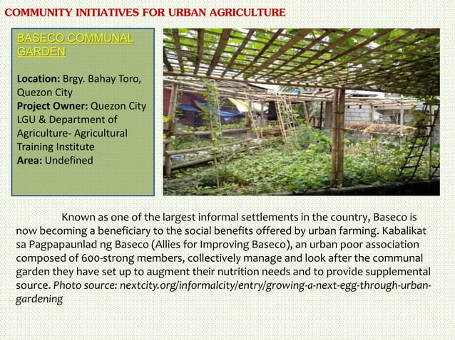 Synergizing urban agriculture with open space requirements for public ...