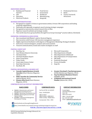 Synergy Capabilities Statement | PDF