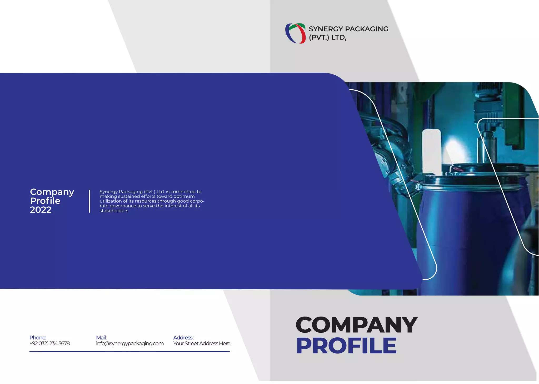 synergy packaging company profile.pdf