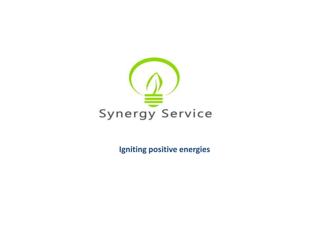 Synergy service Introduction | PPTX