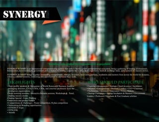 Synergy Summit Brochure | PDF