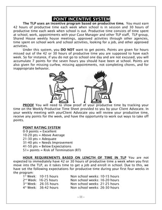 Synergy TLP Youth Handbook | PDF