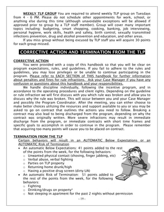 Synergy TLP Youth Handbook | PDF