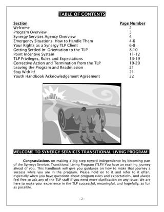 Synergy TLP Youth Handbook | PDF