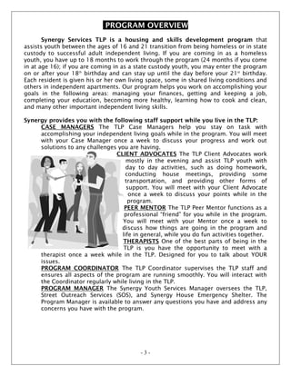 Synergy TLP Youth Handbook | PDF