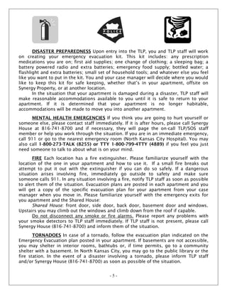 Synergy TLP Youth Handbook | PDF