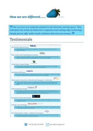 Synergyze whitepaper | PDF