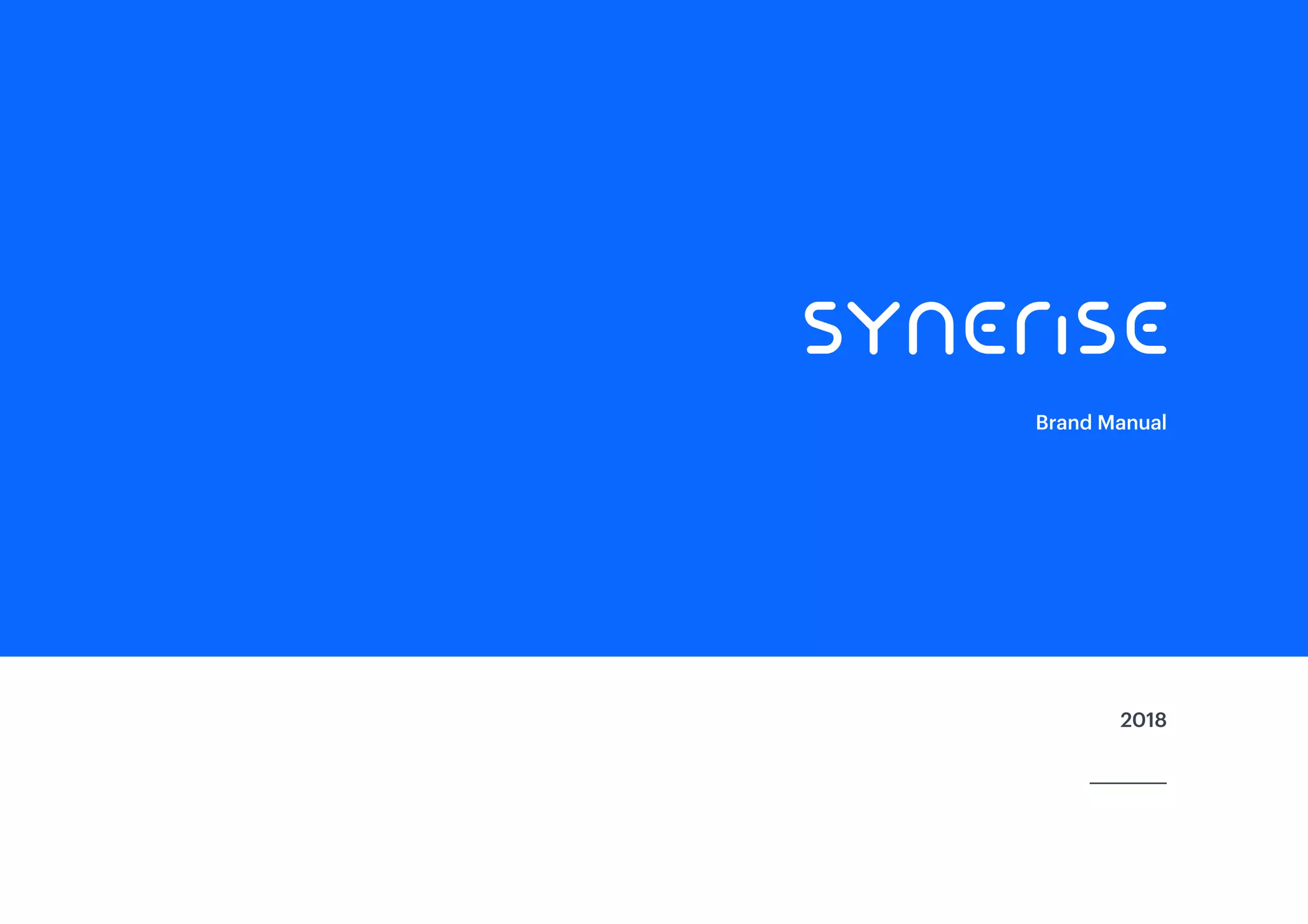 Synerise Brand Manual [English] | PDF
