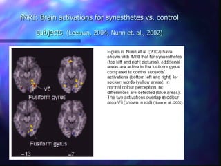 Synesthesia | PPT