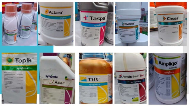 Syngenta | PPT