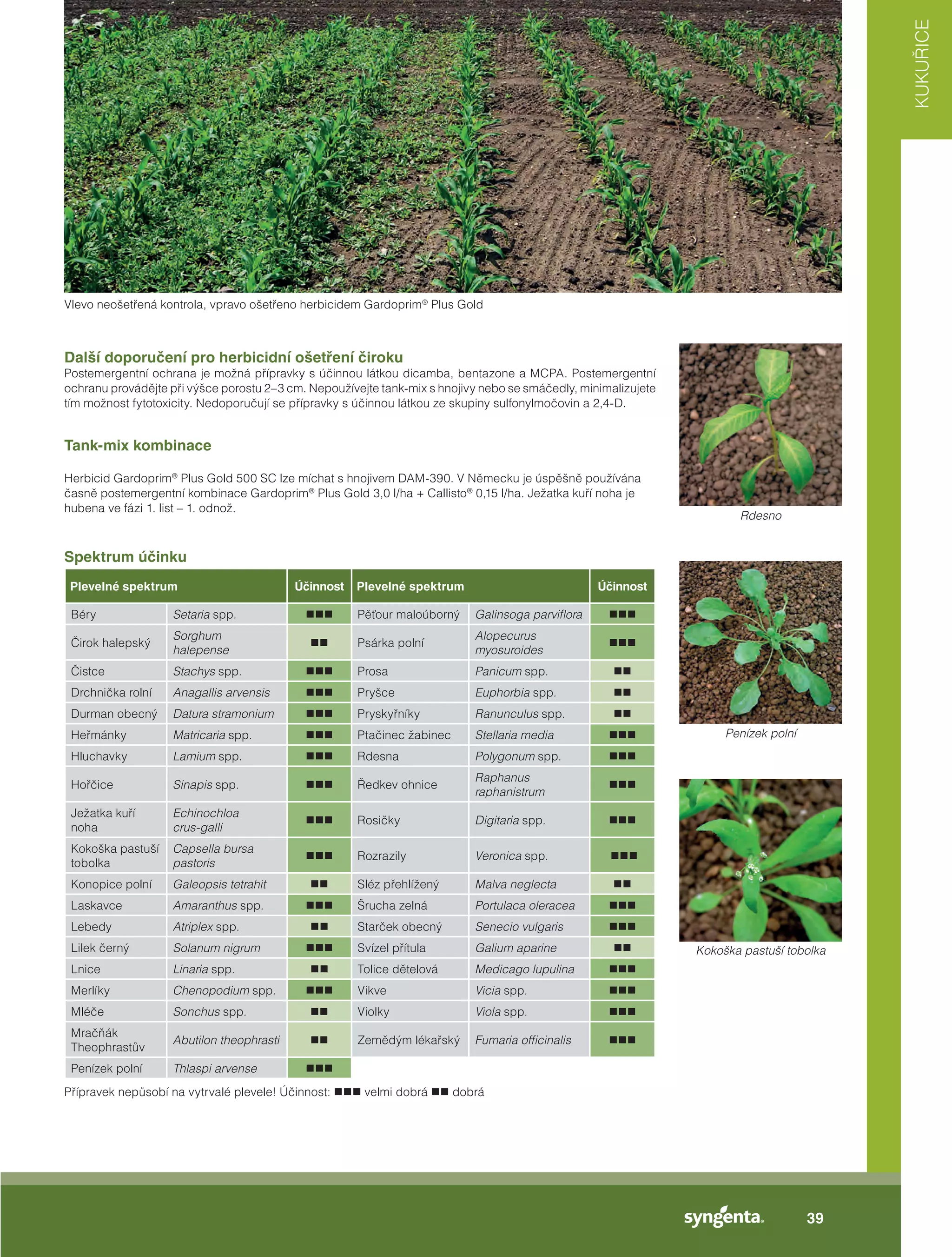 Syngenta - plodinový katalog 214 | PDF