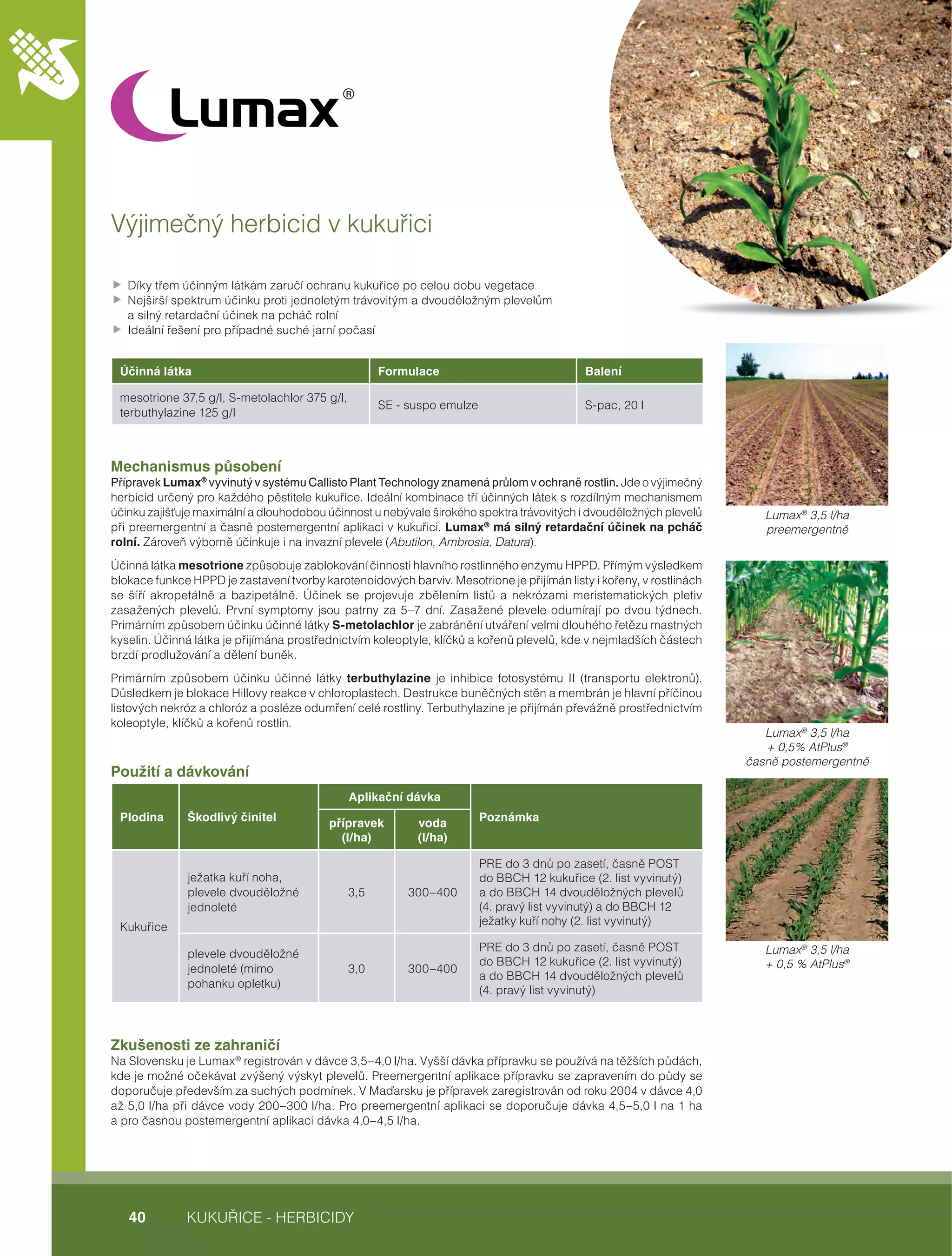 Syngenta - plodinový katalog 214 | PDF