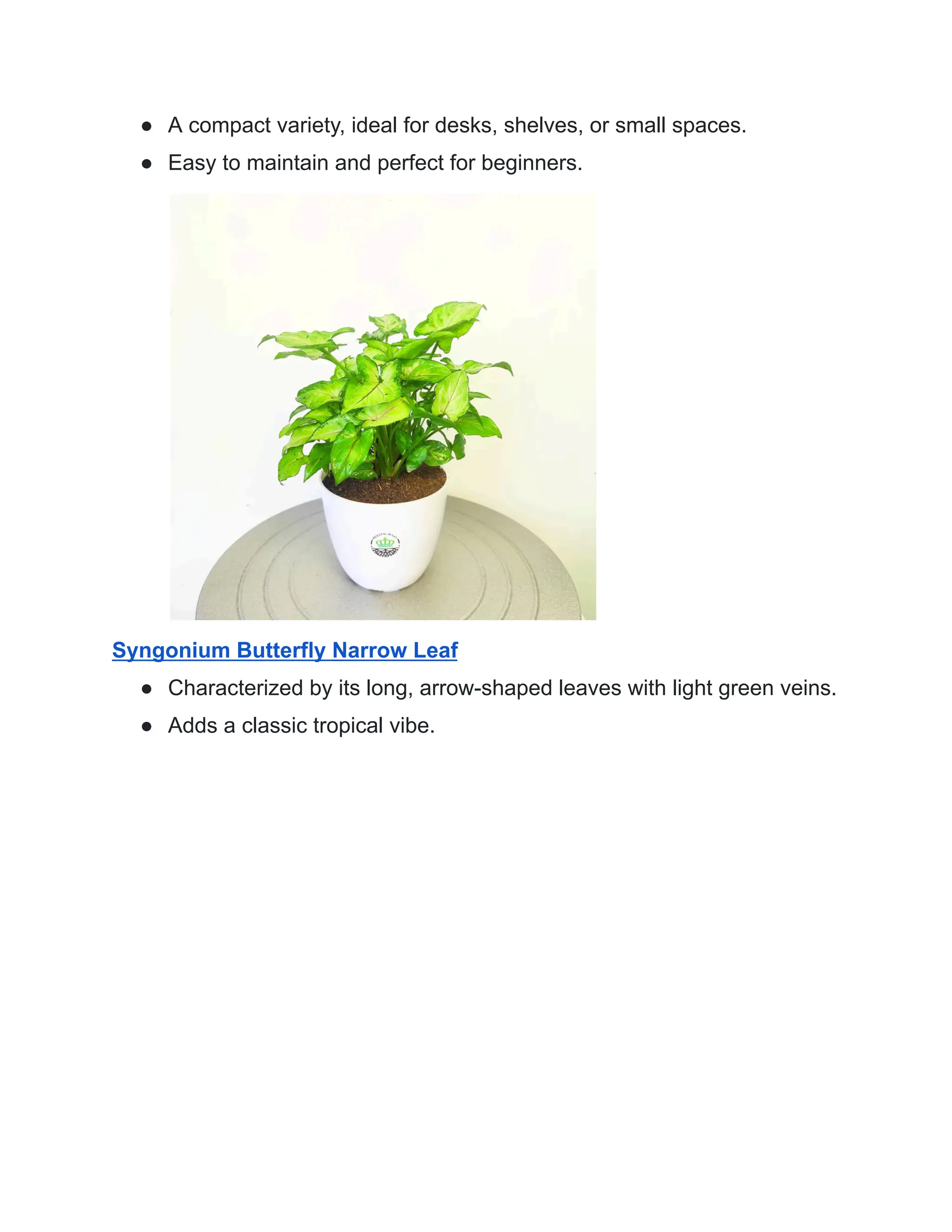 Syngonium Plant Care Guide: Tips for All Seasons & Popular Arrowhead ...