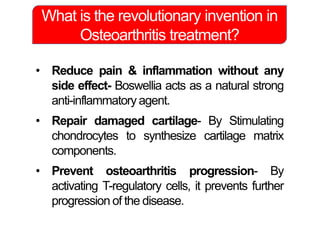 Synogen Alfa Launching Presentation.pptx