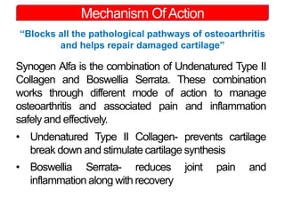 Synogen Alfa Launching Presentation.pptx