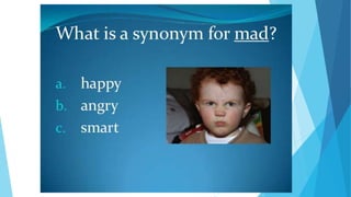 Synonym | PPT