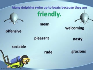 Diving Deep for Synonyms and Antonyms | PPT