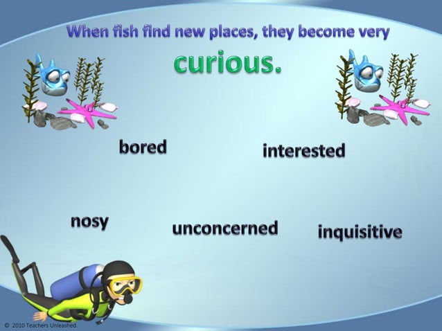 Diving Deep for Synonyms and Antonyms | PPT