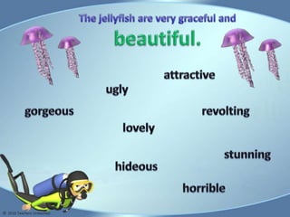 Diving Deep for Synonyms and Antonyms | PPT