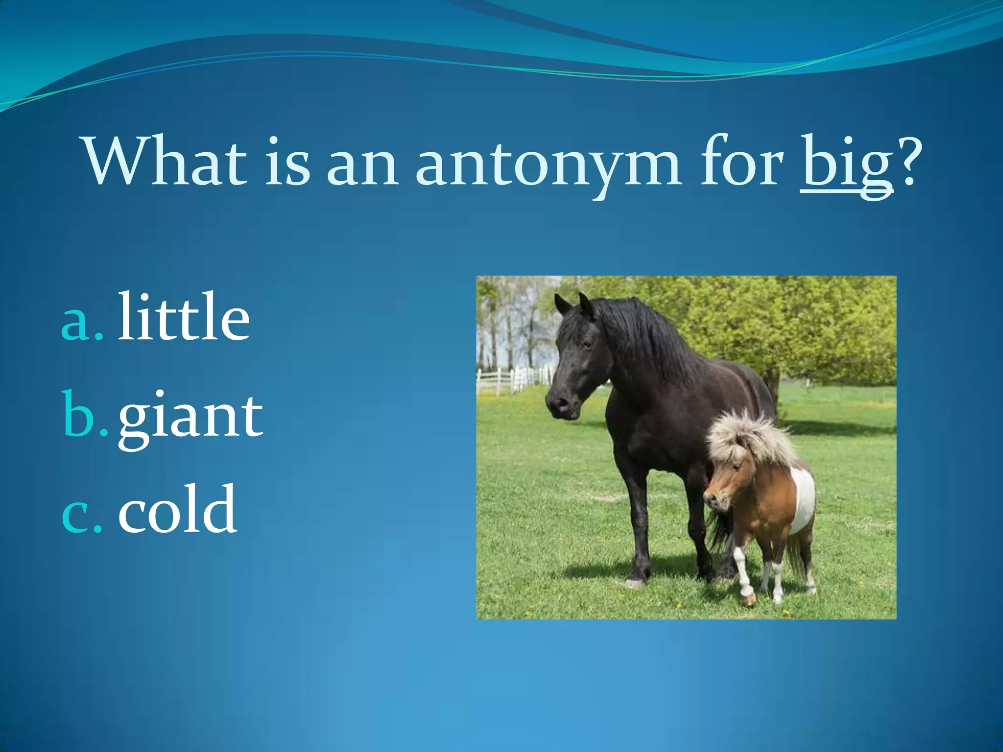 Synonym and Antonym PowerPoint | PPTX