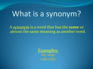 Synonym and Antonym PowerPoint | PPTX