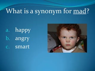 Synonym and Antonym PowerPoint | PPTX
