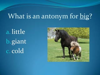 Synonym and Antonym PowerPoint | PPTX