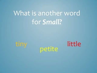 Synonyms for 1-3rd Graders | PPTX