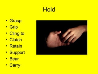 Synonyms | PPT