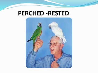 SYNONYMS - THE PORTRAIT OF LADY | PPTX