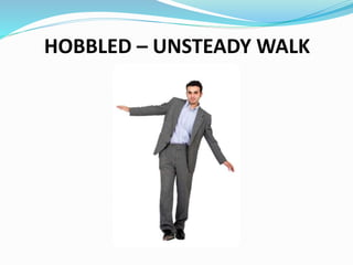 SYNONYMS - THE PORTRAIT OF LADY | PPTX