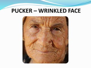 SYNONYMS - THE PORTRAIT OF LADY | PPTX