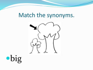 synonyms-grammar-.pptx