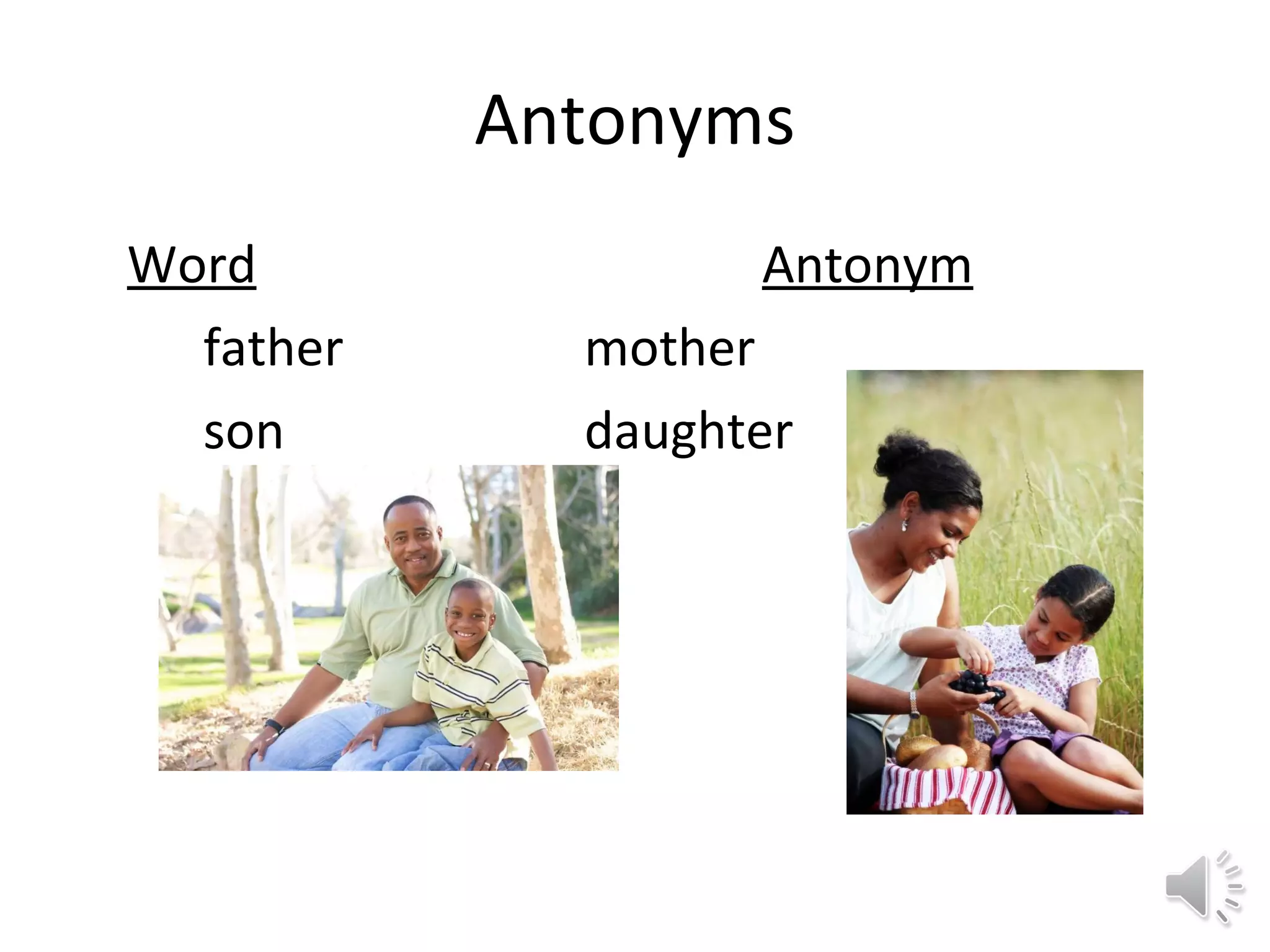 Synonyms and Antonyms | PPT