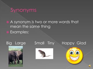 Synonyms and Antonyms | PPTX