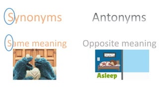 synonyms and antonyms.pptx