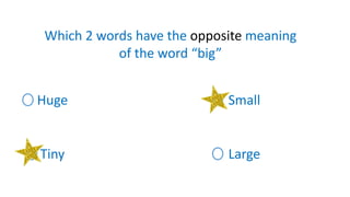 synonyms and antonyms.pptx