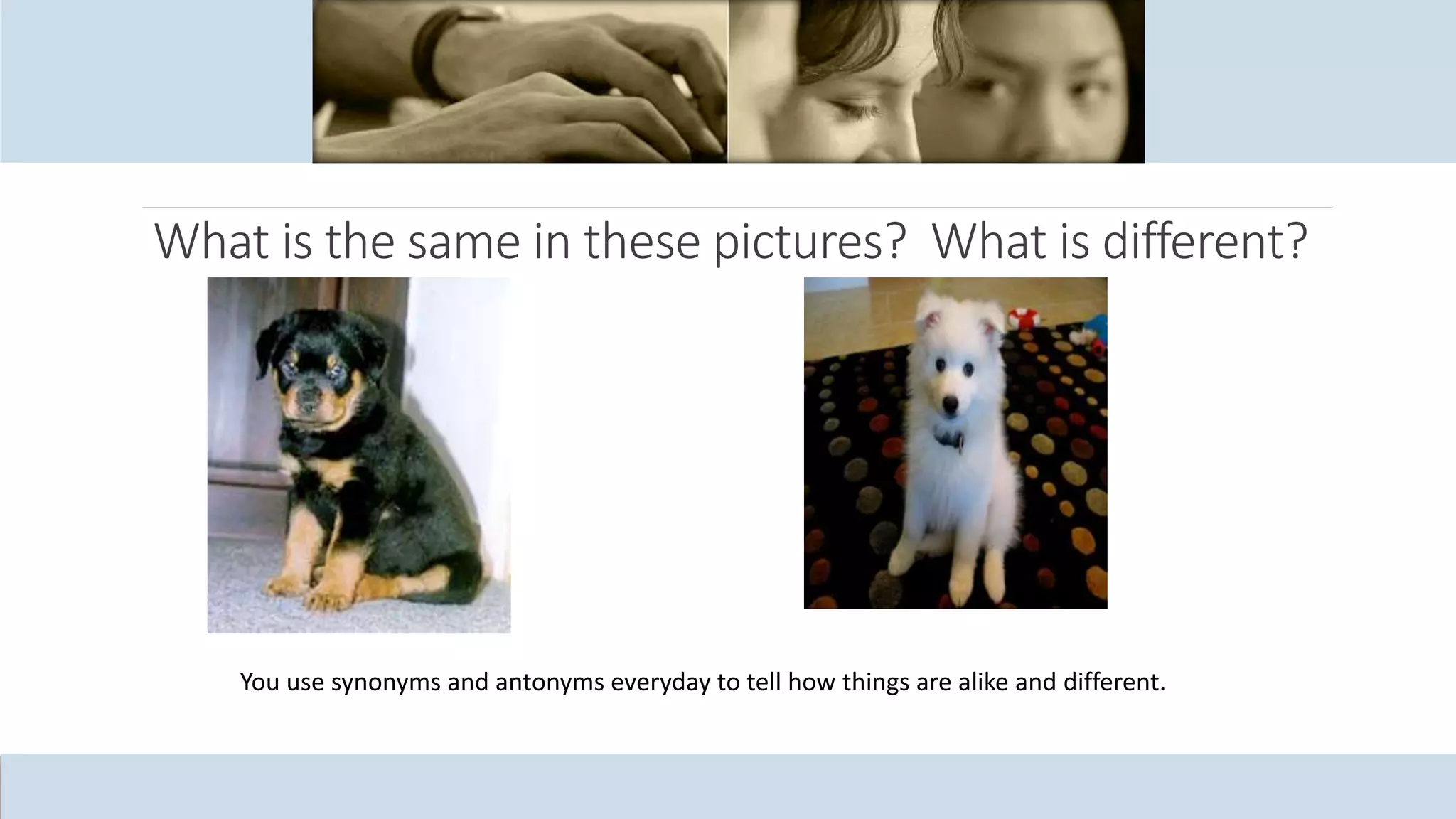 Synonyms and Antonyms Presentation.ppt