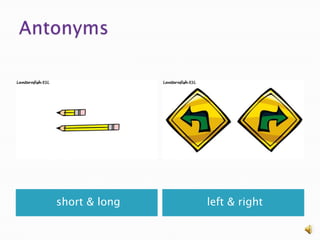 Synonyms & Antonyms, A Grammar Mini-Lesson | PPTX