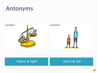Synonyms & Antonyms, A Grammar Mini-Lesson | PPTX