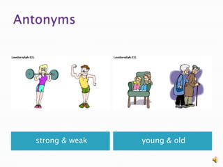 Synonyms & Antonyms, A Grammar Mini-Lesson | PPTX