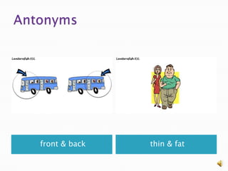 Synonyms & Antonyms, A Grammar Mini-Lesson | PPTX